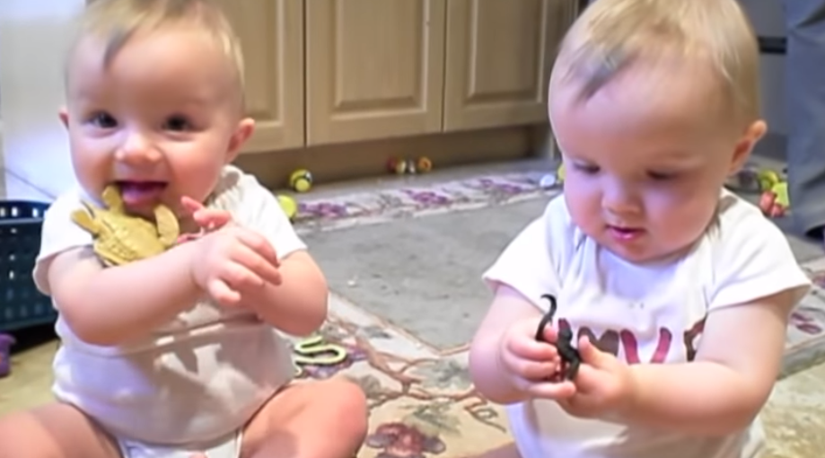 Twins have captured the hearts of internet users all over the globe